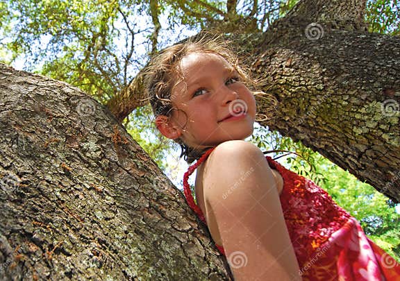 Young Girl Up in Tree stock photo. Image of girl, weekend - 5345368