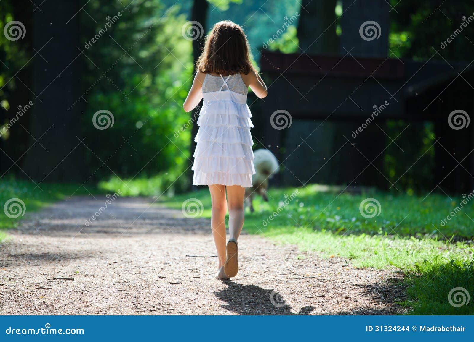 Young Girl Walks on a Forest Path Stock Photo - Image of back, backside ...