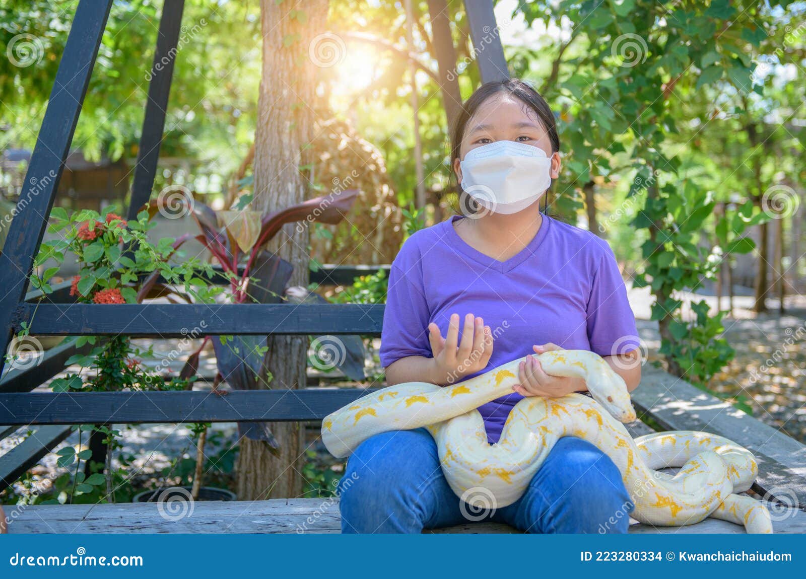 Young Girl Wear Mask and Hold an Albino Python, Pet Stock Photo - Image ...