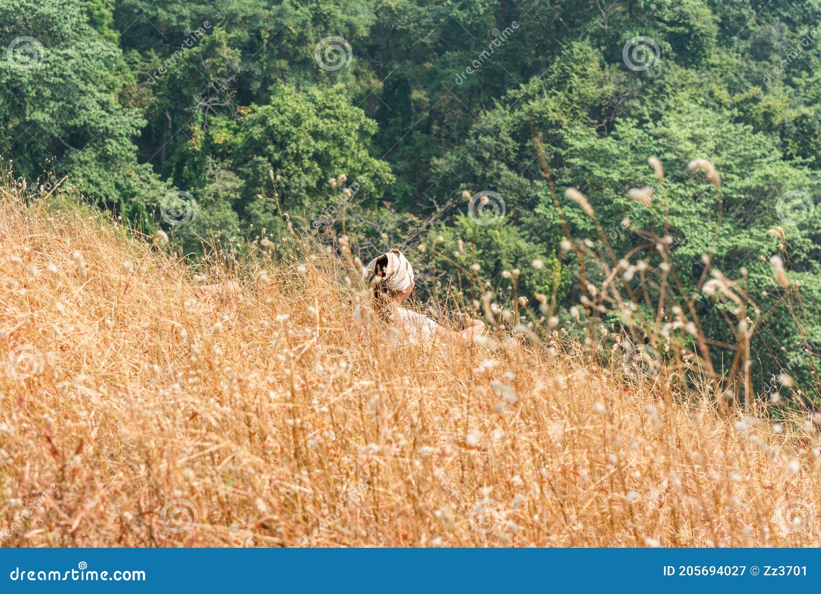 Girld Sitting Stock Photos - Free & Royalty-Free Stock Photos from ... Girld Sitting Stock Photos - Free & Royalty-Free Stock Photos from ...