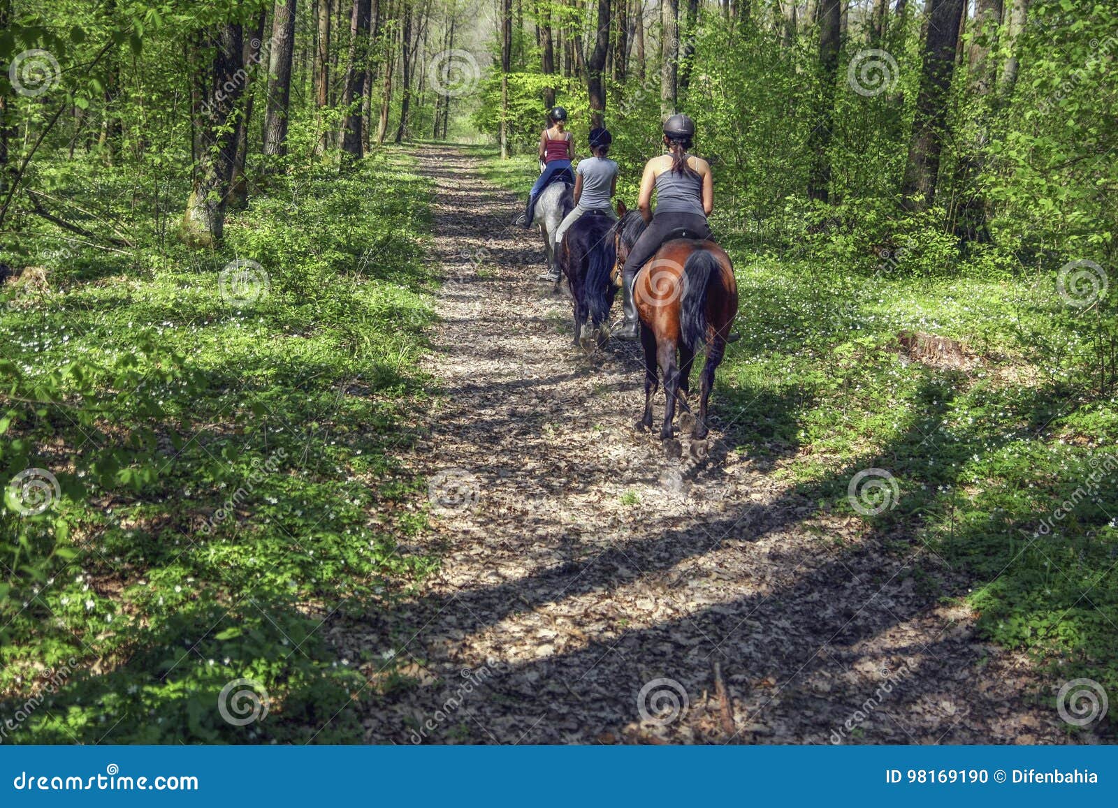 Young Girls Riding on Horseback through the Forest Editorial Image ...