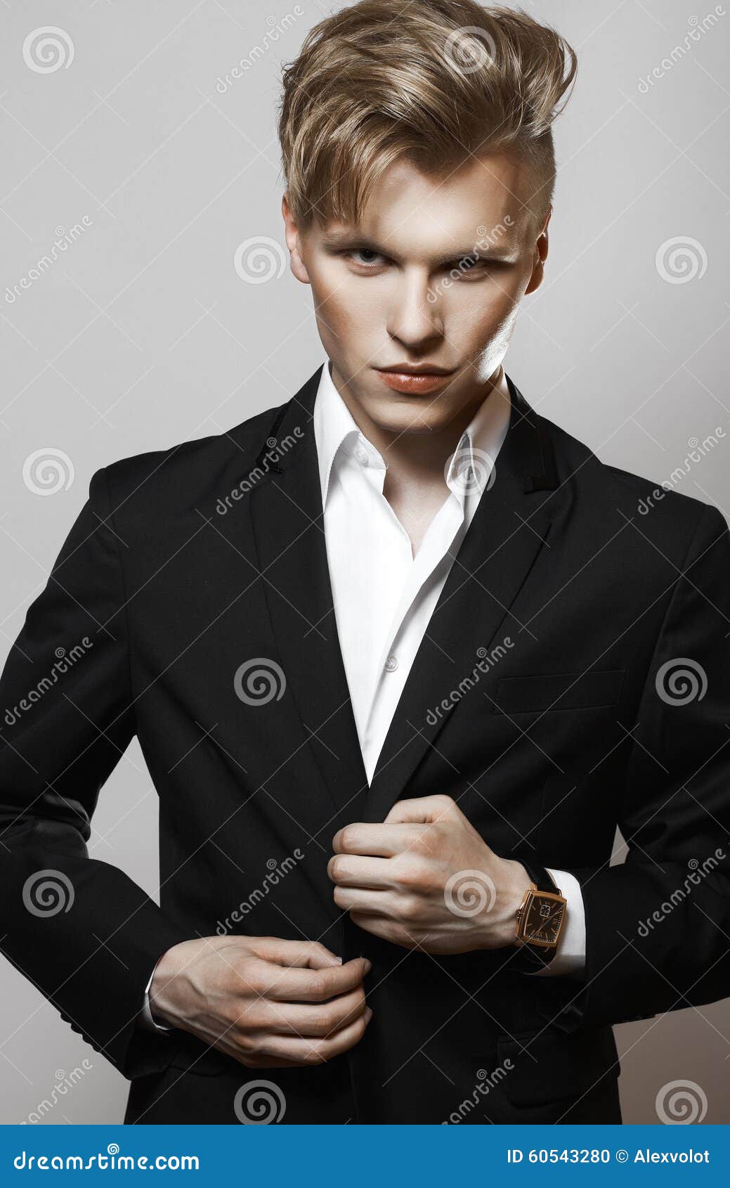 Young glamour handsome man stock photo. Image of gray - 60543280