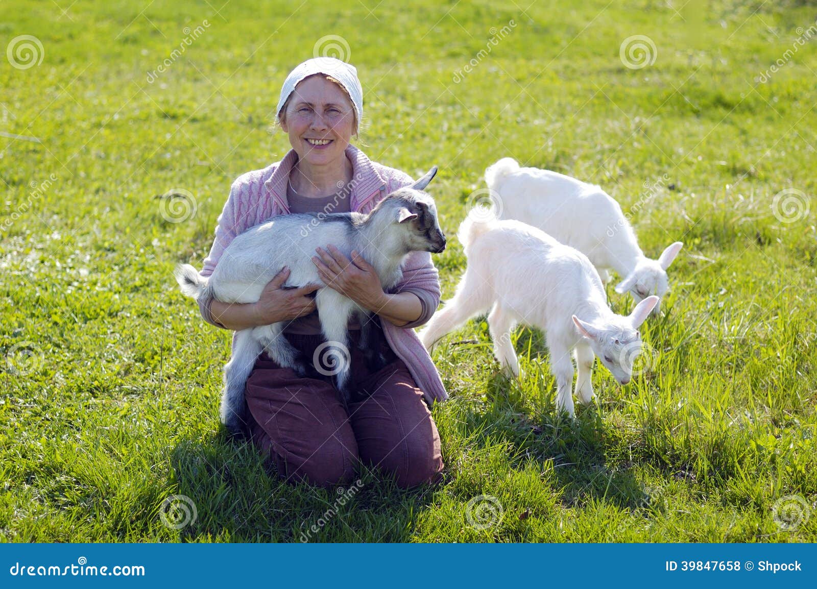 Young goats and woman stock photo. Image of rural, hands - 39847658