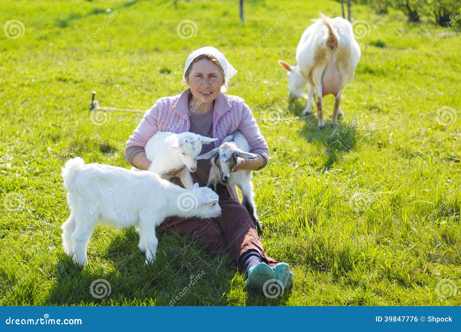 Young goats and woman stock photo. Image of side, woman - 39847776