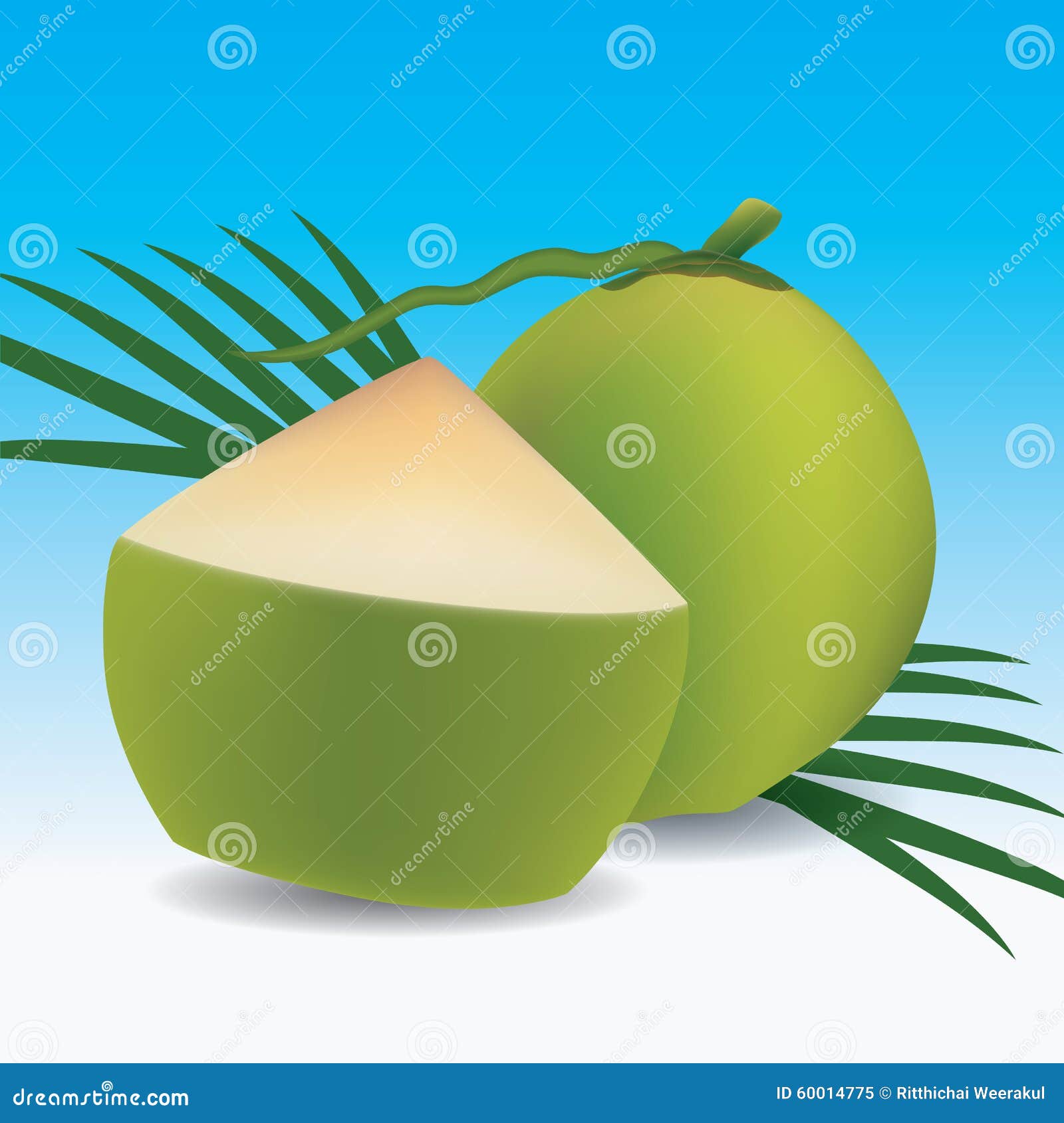 Young green coconut stock vector. Illustration of healthy - 60014775
