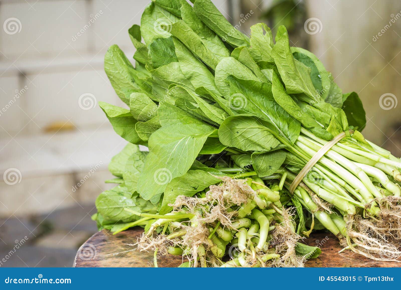 Young green frilly lettuce stock image. Image of vegetarian - 45543015