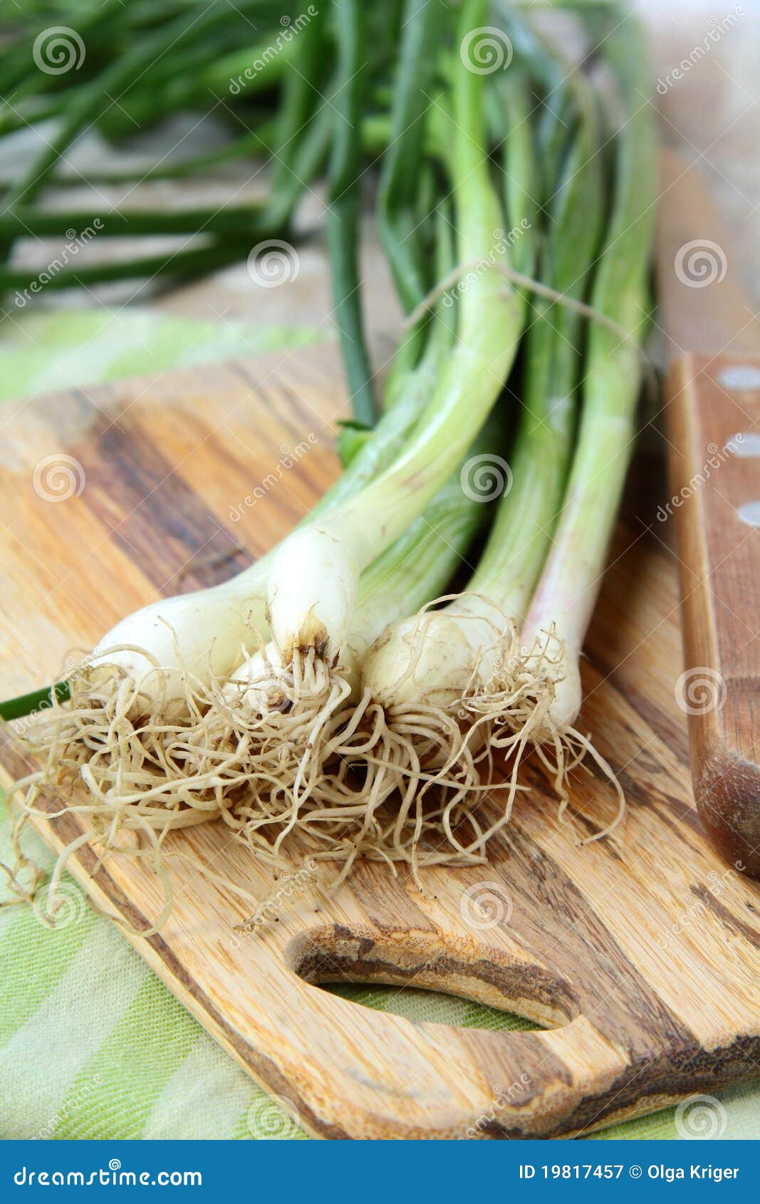 Young green organic onions stock image. Image of dietary - 19817457
