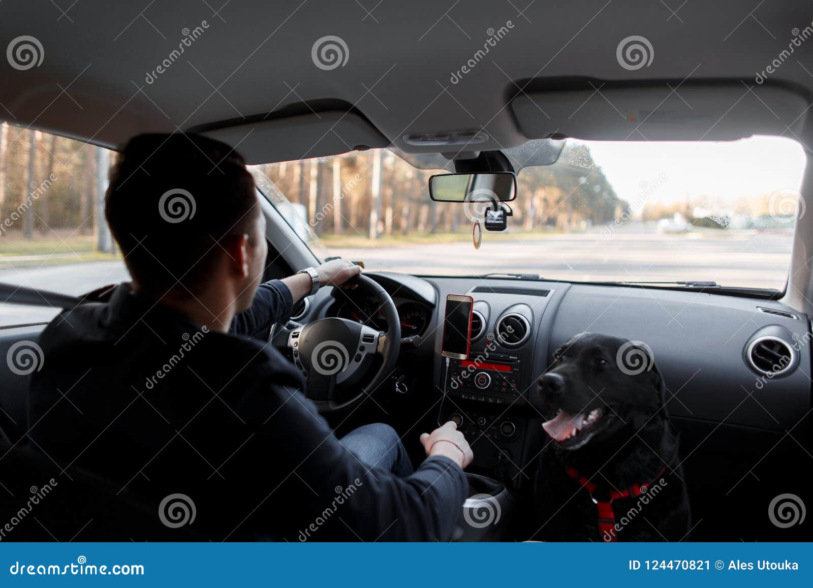 Young Guy with a Dog is Driving in the Car. Journey. Stock Image ...