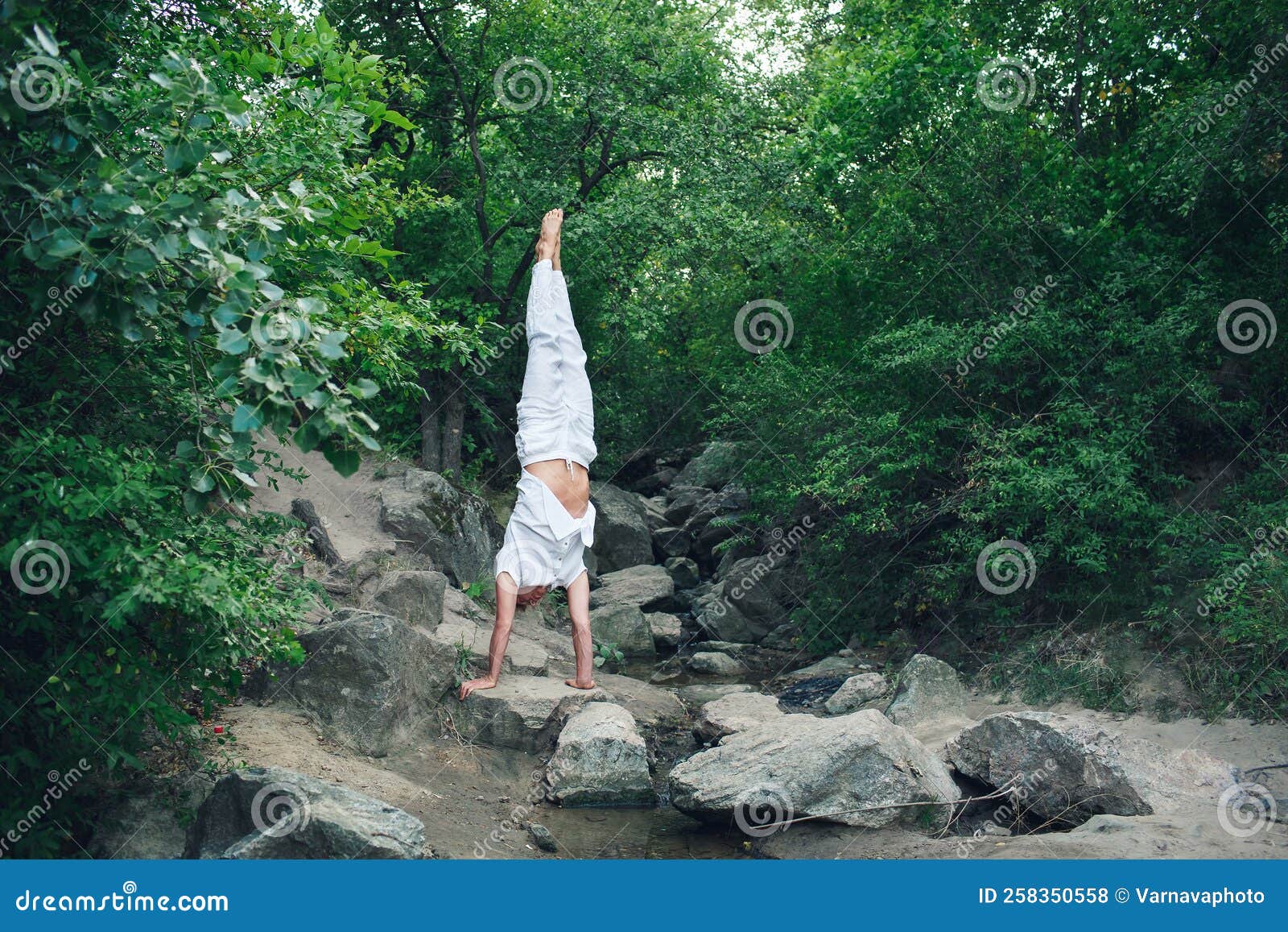 A Young Guy is Doing Yoga in Nature, Performing a Handstand. Stock ...
