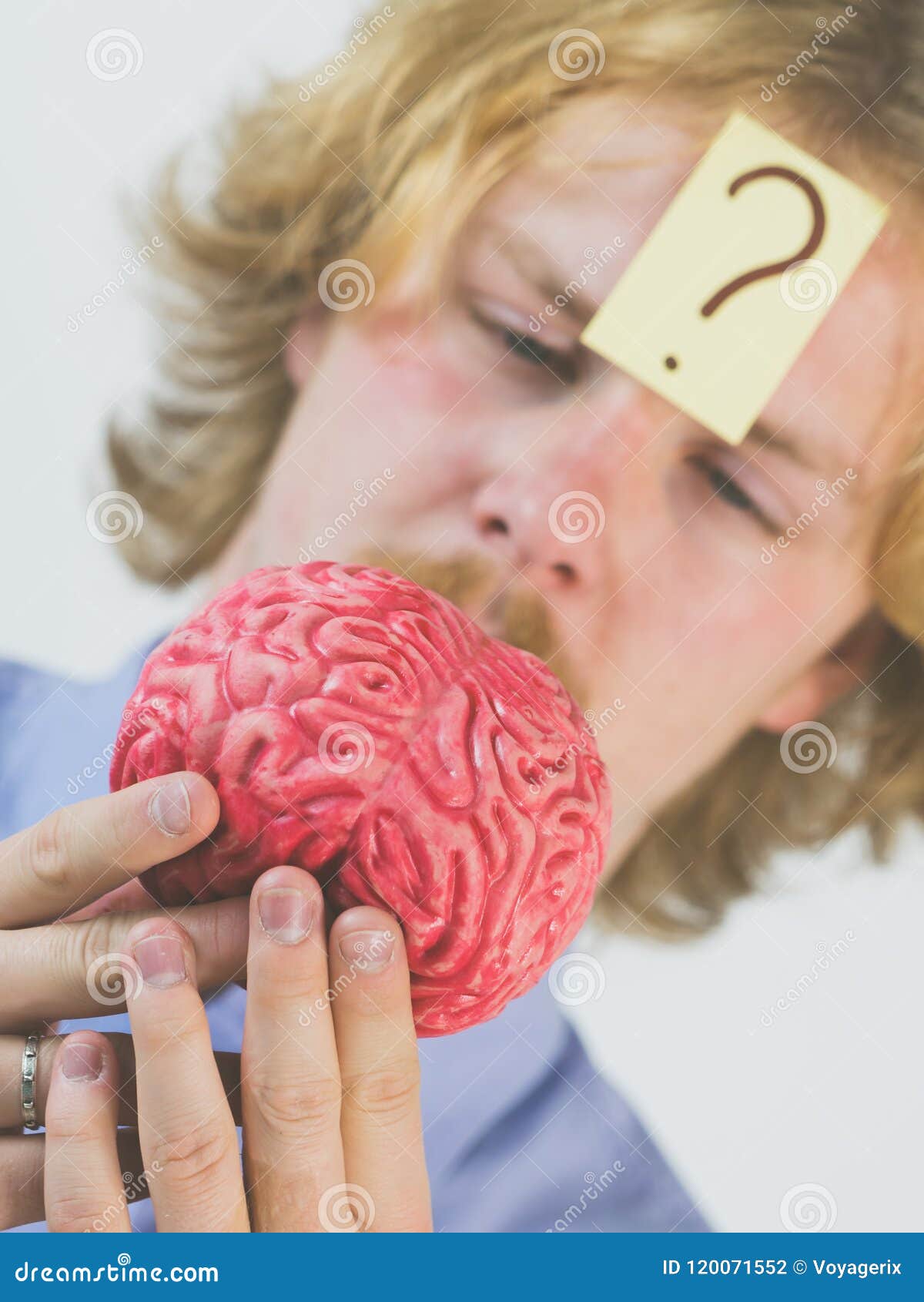 Man Playing with Human Brain Stock Photo - Image of ideas, symbol ...