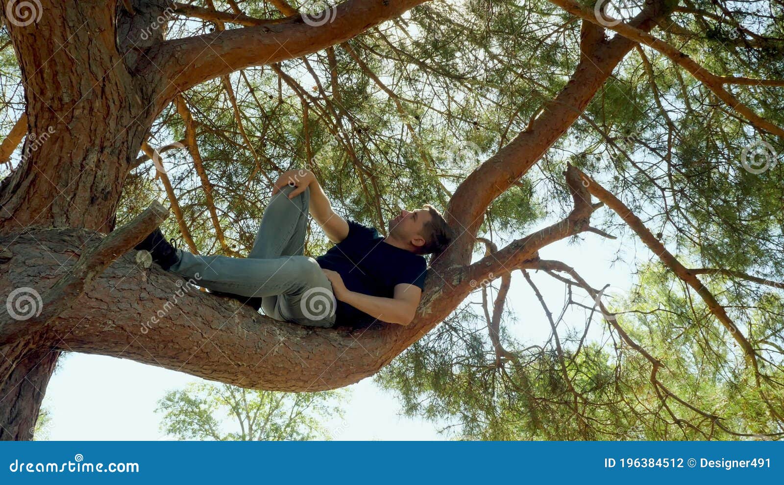 Young Guy is Resting and Relaxing Lying on a Tree Branch in a Summer ...