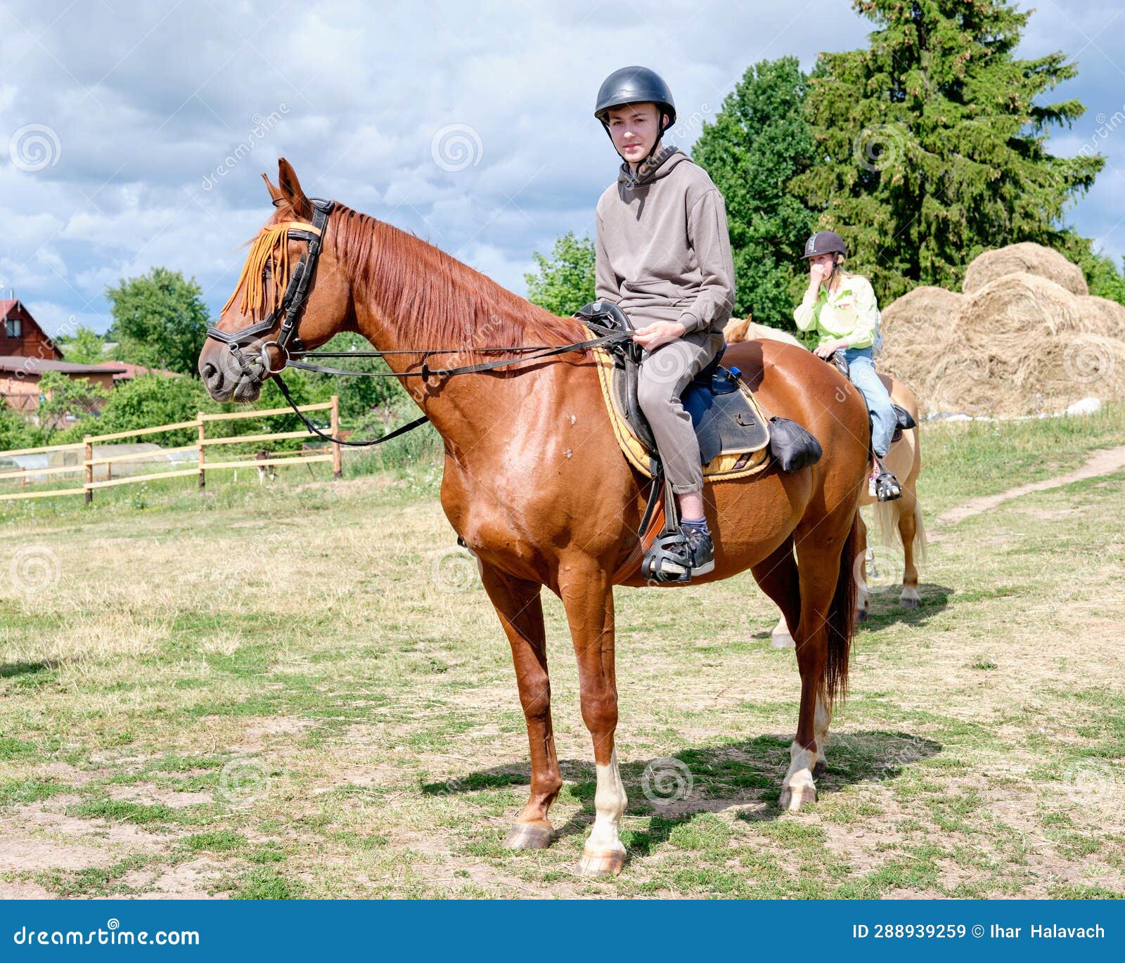 Young Guy Rider Riding a Horse for the First Time Stock Image - Image ...