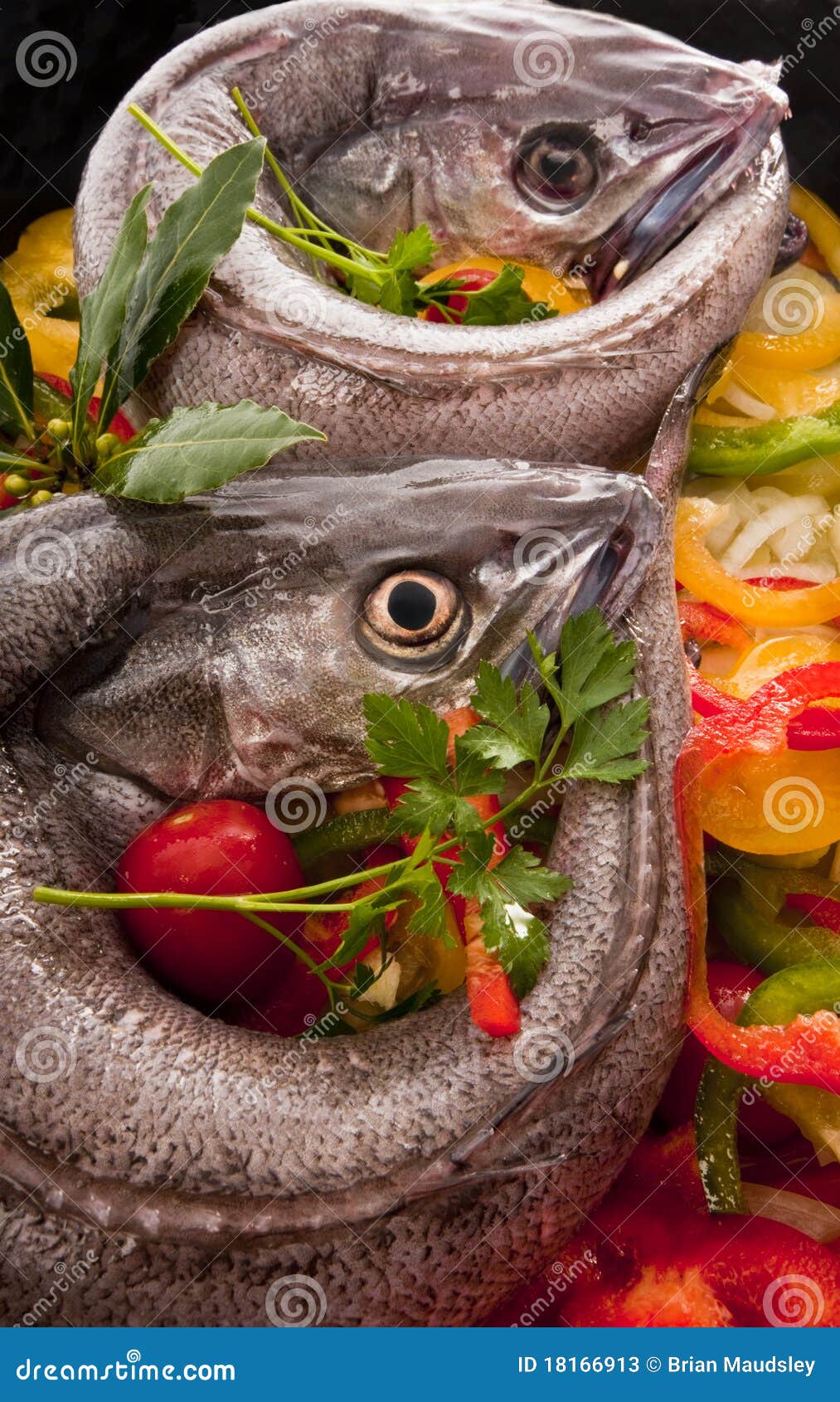 Young Hake Prepared for Cooking with Vegetables. Stock Image - Image of ...