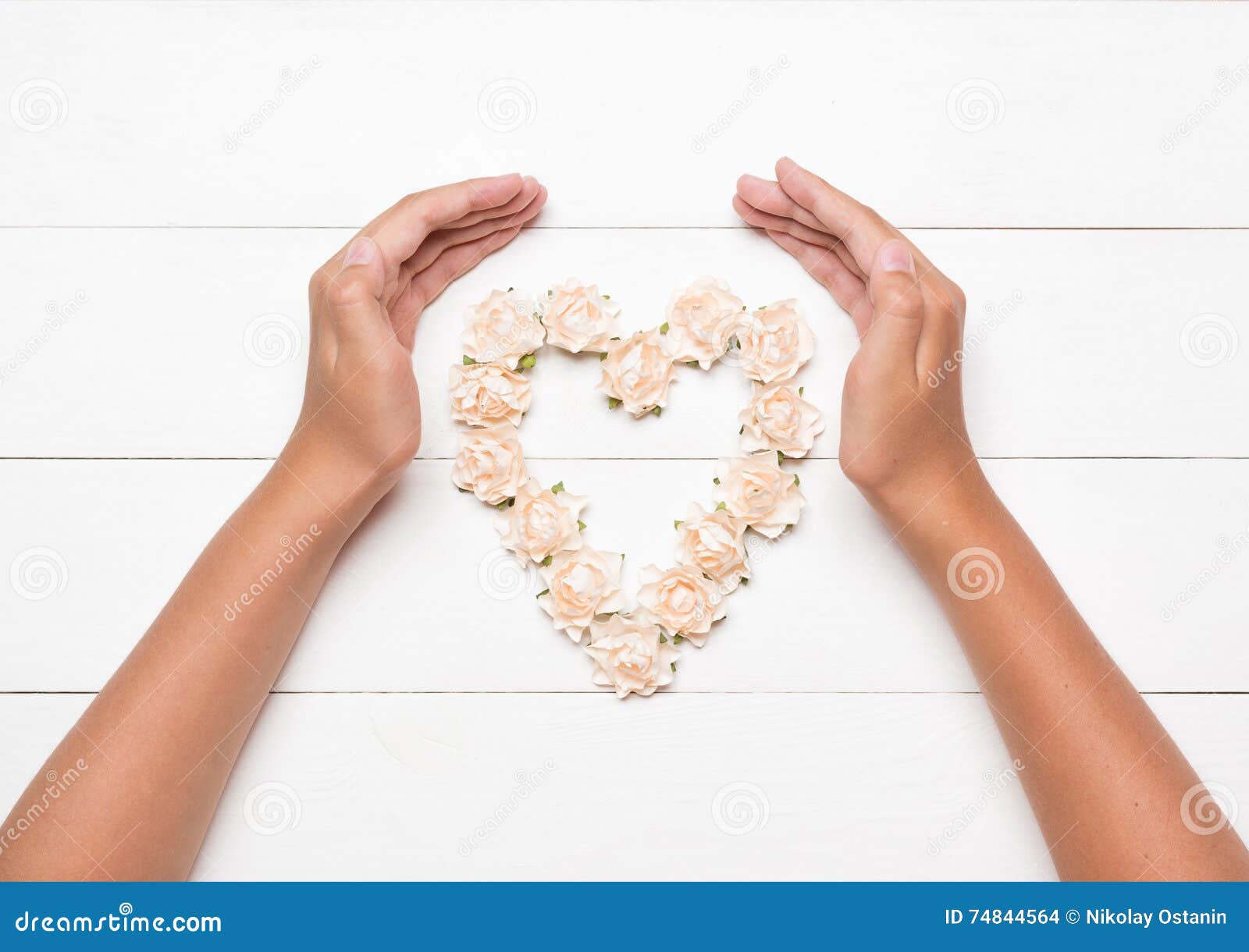 Young Hands Holding Heart Made of Roses Stock Photo - Image of design ...