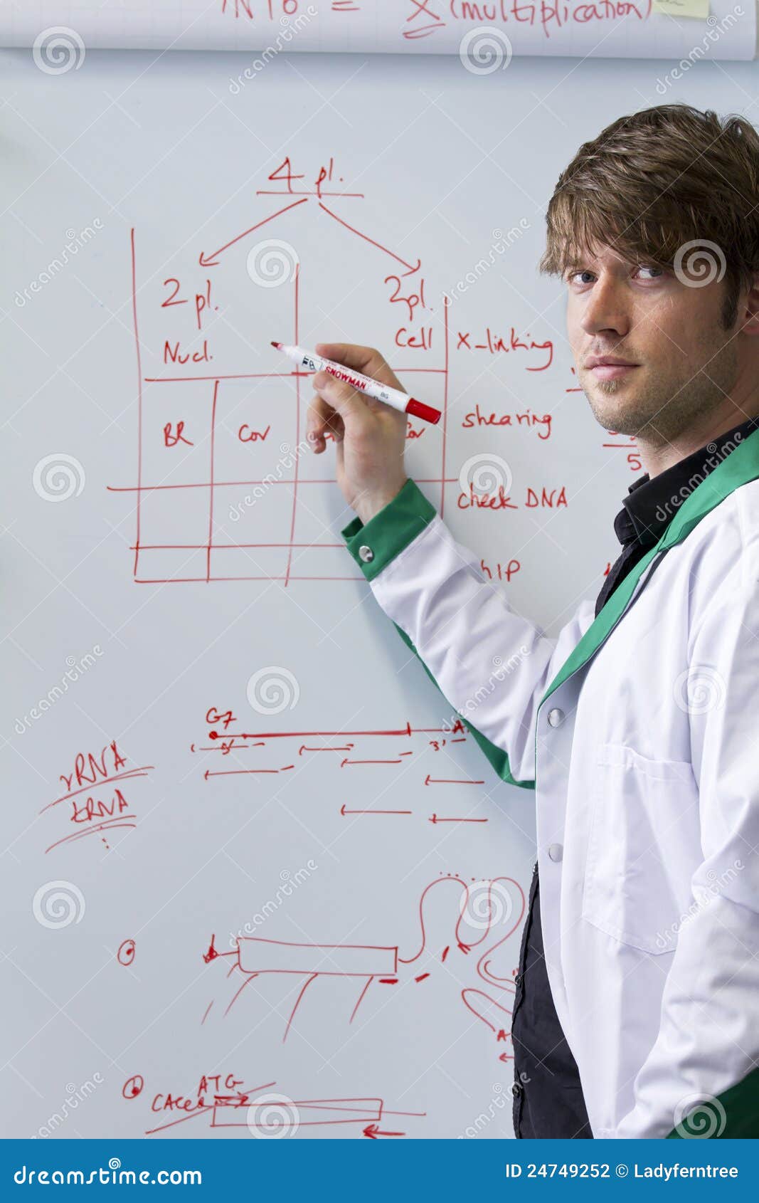 Young Handsome Biotech Student with Whiteboard Stock Photo - Image of ...