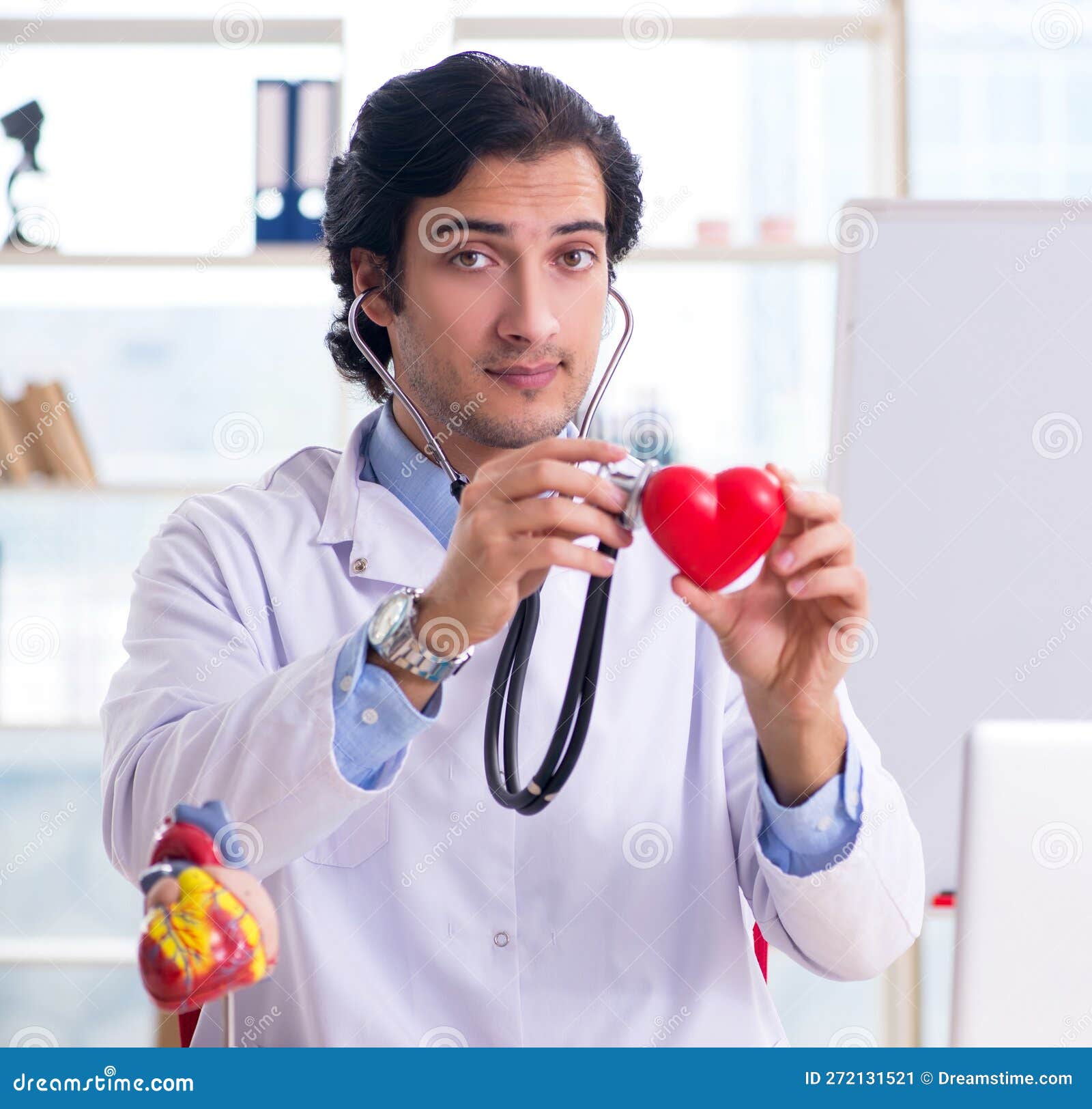 Young Handsome Doctor Cardiologist in Front of Whiteboard Stock Image ...