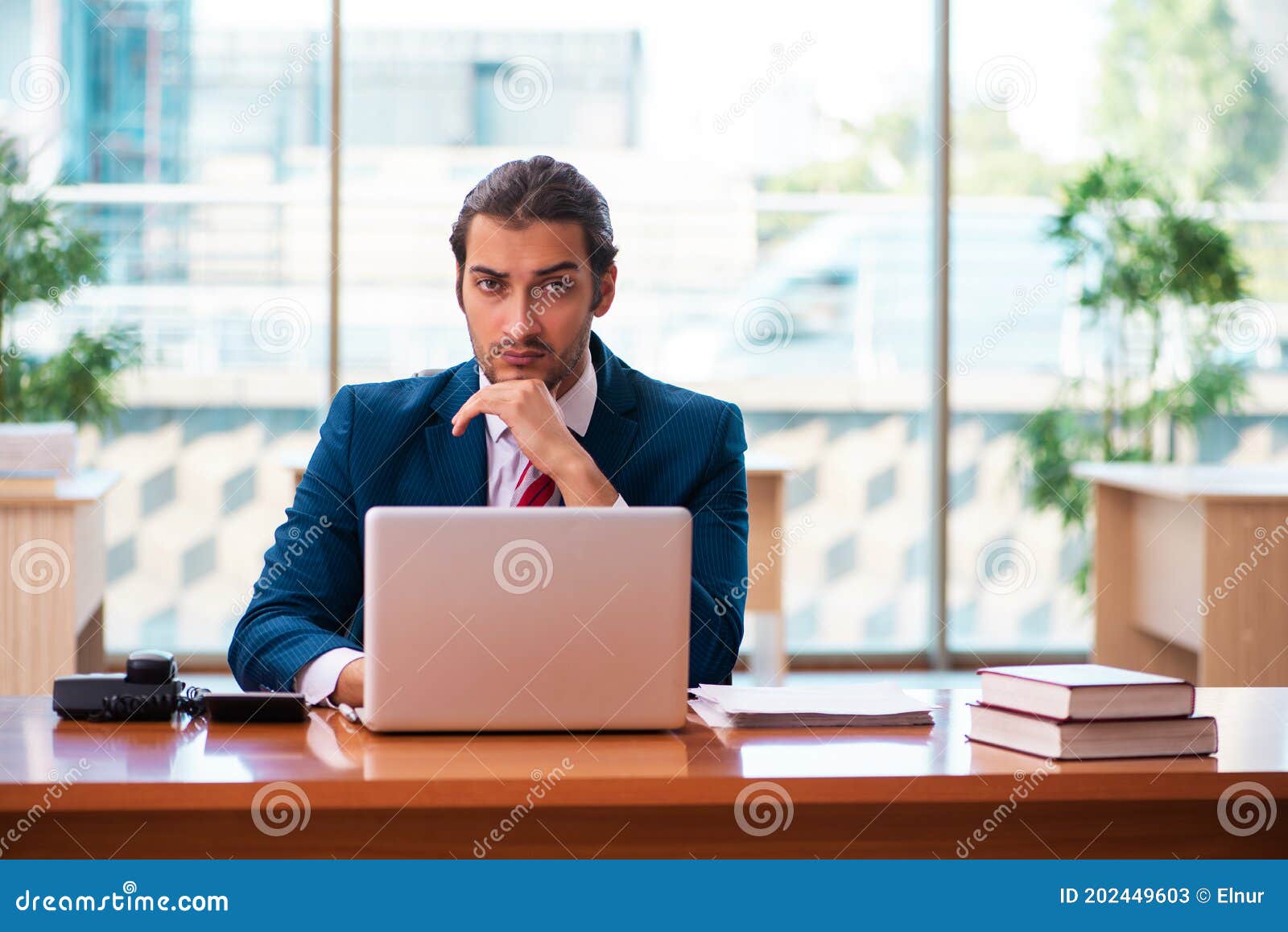 Young Handsome Employee Working in the Office Stock Image - Image of ...