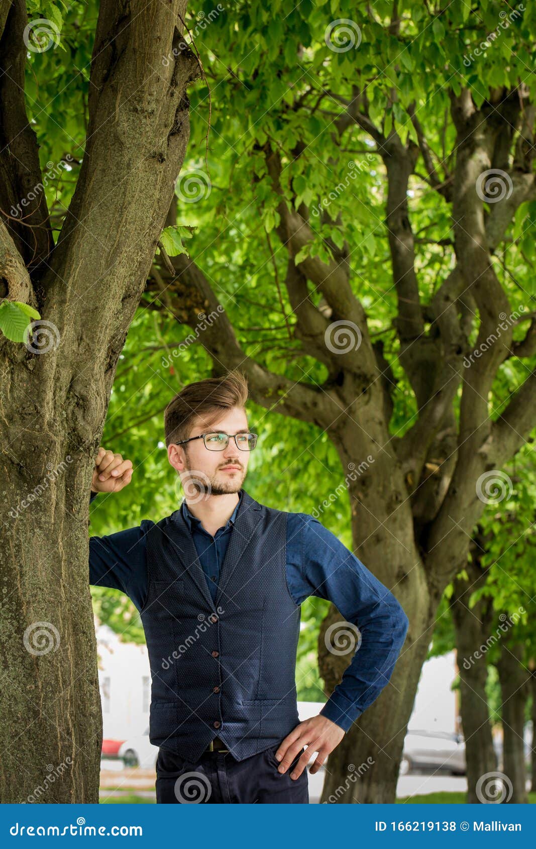 Young Handsome Man with a Beard in the Park Under the Tree Stock Photo ...