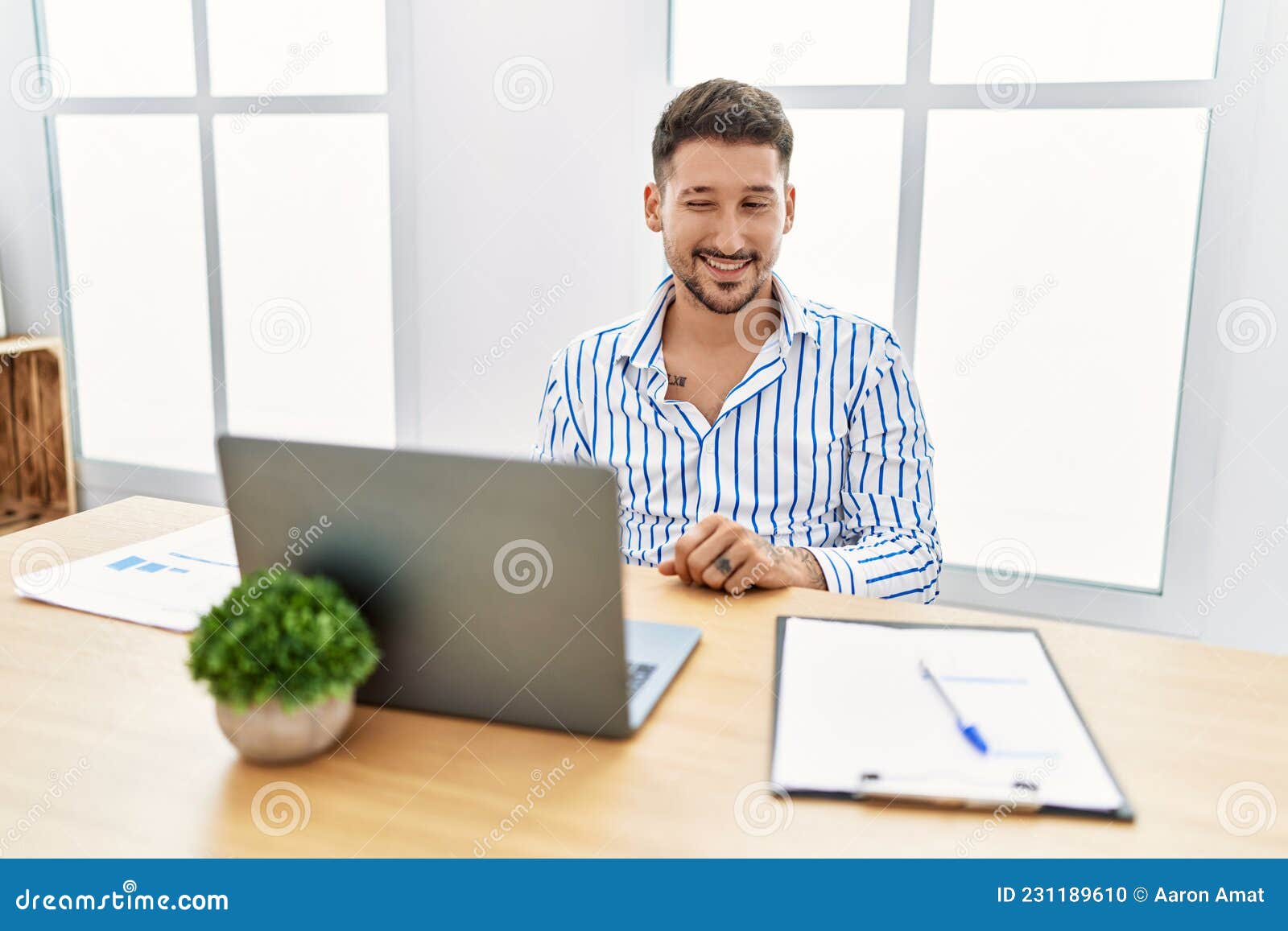 Young Handsome Man with Beard Working at the Office Using Computer ...