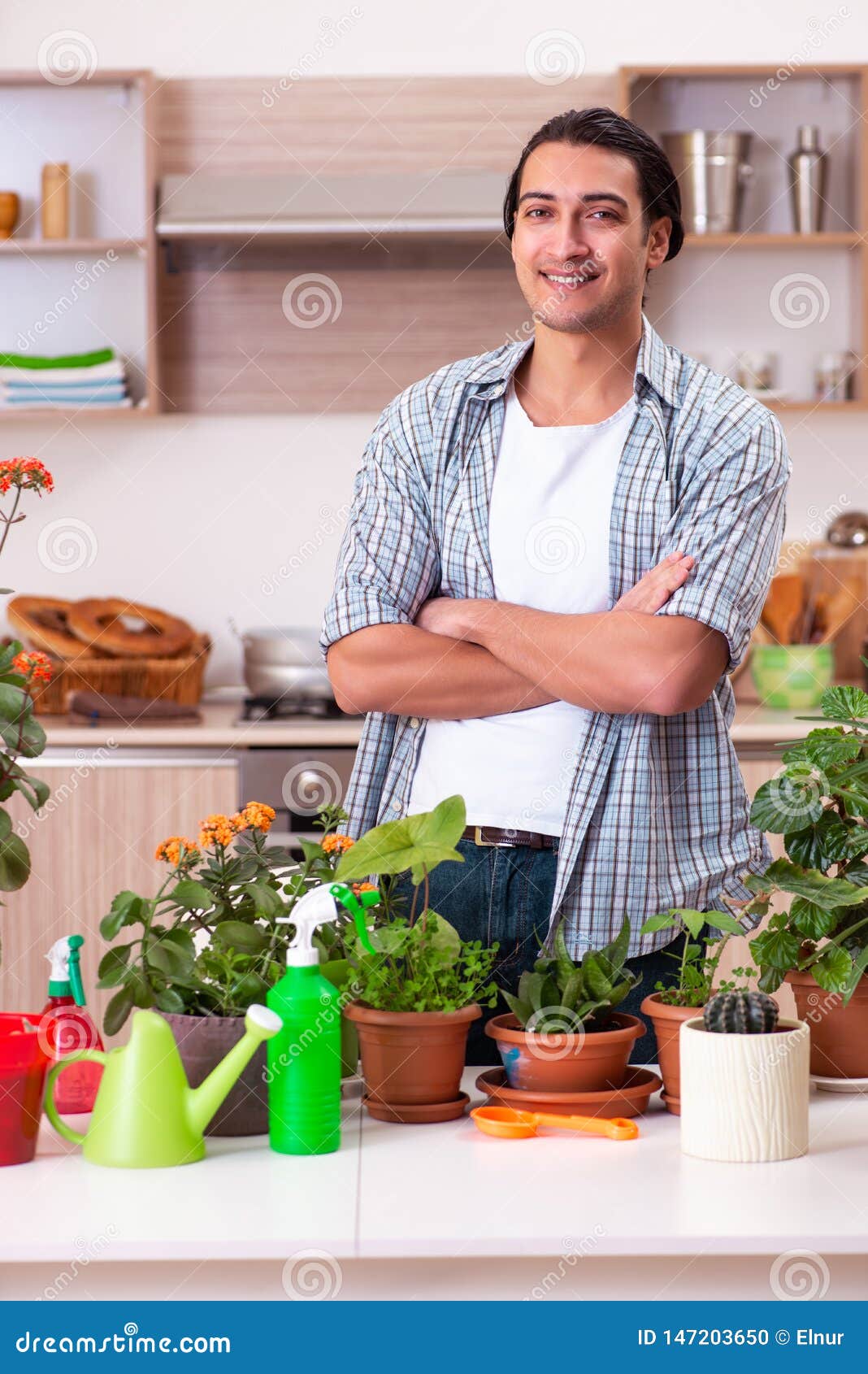 The Young Handsome Man Cultivating Flowers at Home Stock Photo - Image ...