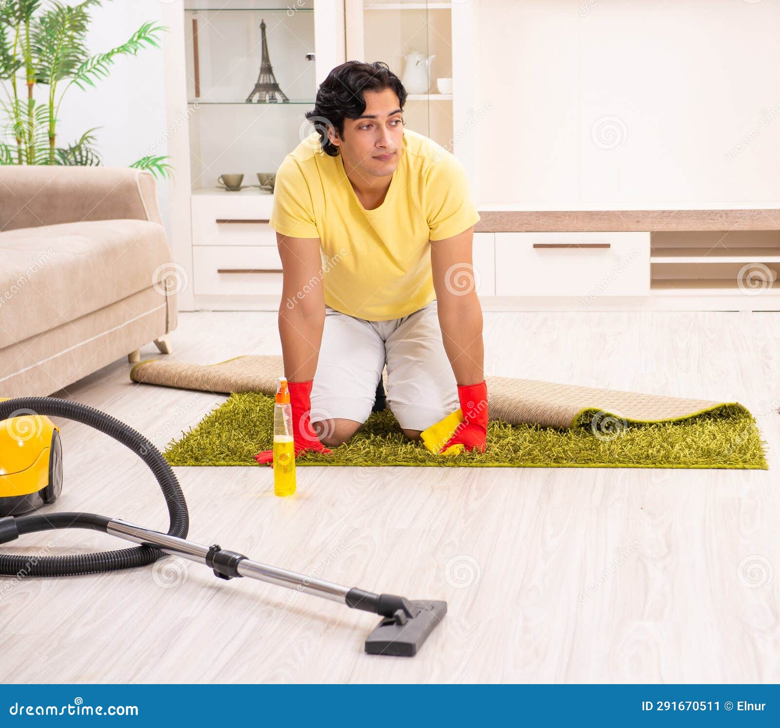 Young Handsome Man Doing Housework Stock Image - Image of apartment ...