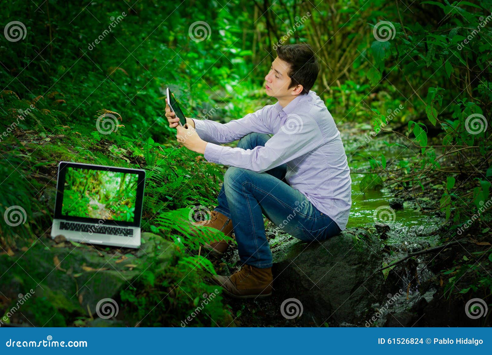 Young Handsome Man with Great Internet Stock Photo - Image of plants ...
