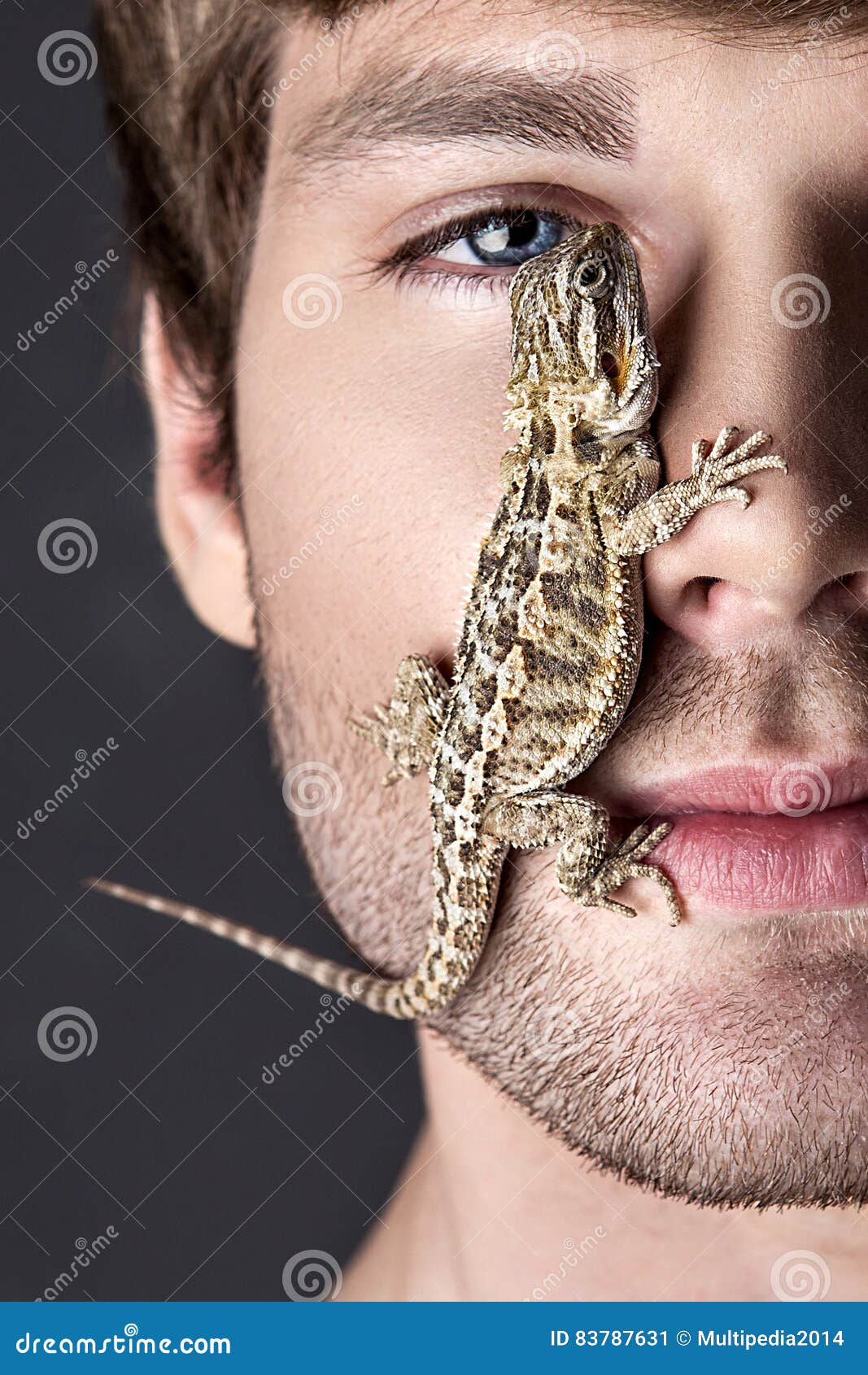 Young Handsome Man with Lizard on His Face Stock Image - Image of ...