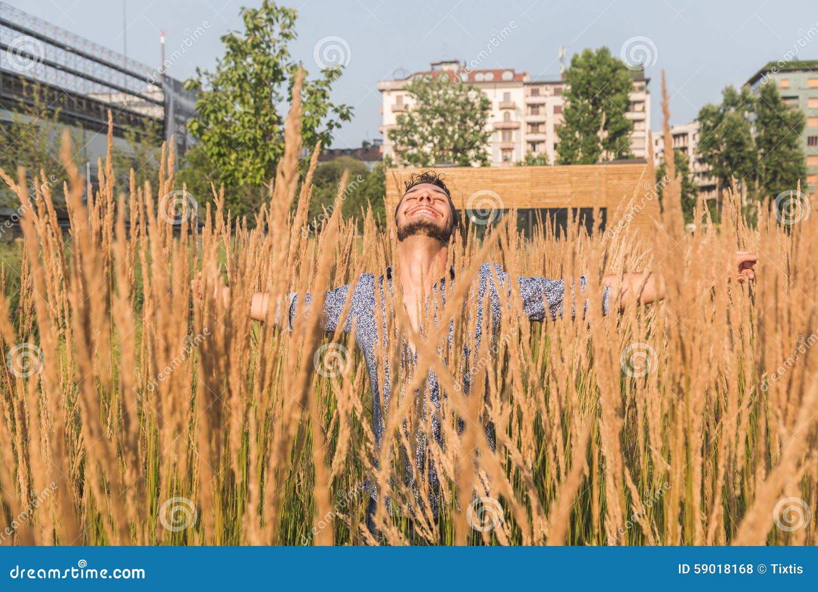Young Handsome Man Posing in a Field Stock Photo - Image of beard, male ...
