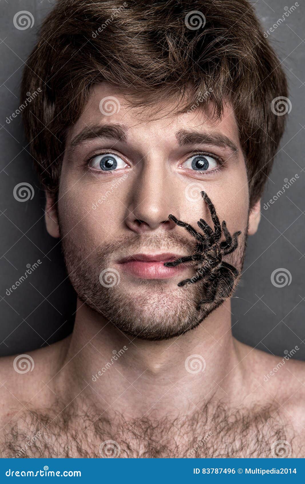Young Handsome Man with Spider on His Face Stock Photo - Image of adult ...