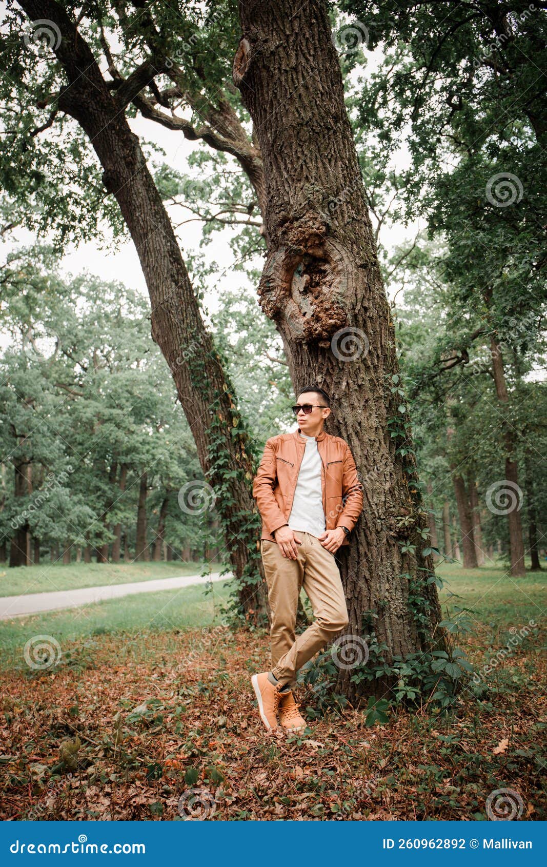 A man stands under a tree stock photo. Image of face - 260962892