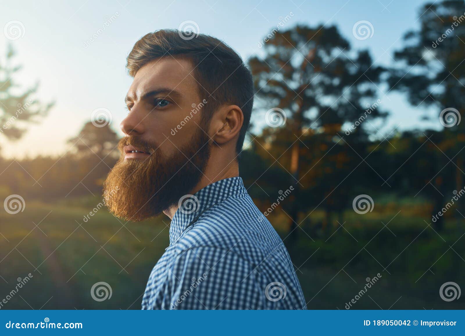 Young Handsome Serious Bearded Man Stock Photo - Image of brutal ...