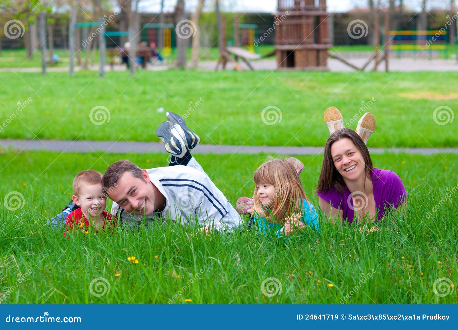 Young Happy Family Having Fun in the Grass Stock Image - Image of ...