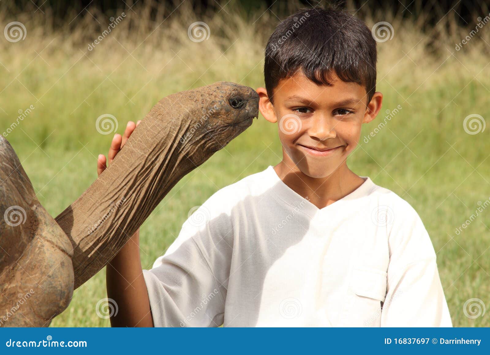 Young Happy School Boy Visits a Giant Tortoise Stock Image - Image of ...