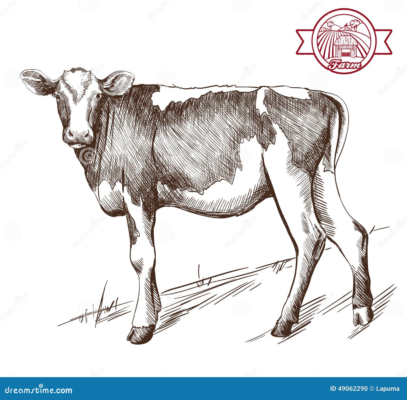 Young heifer grazing stock vector. Illustration of pose - 49062290