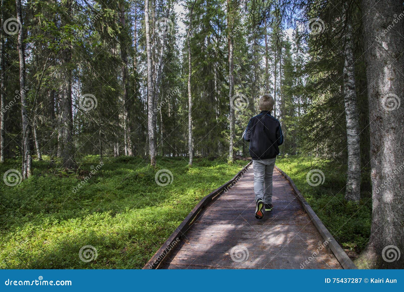 Young Hiker in Finish Lapland Stock Image - Image of recreation, child ...