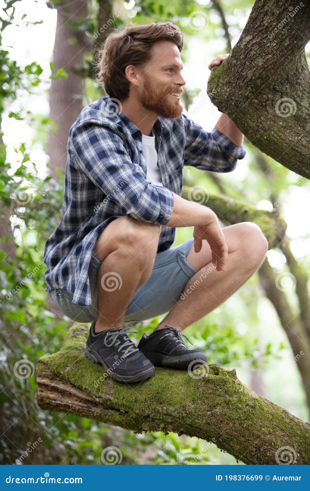 Young Hiker Sitting on Tree Branch Stock Image - Image of environment ...