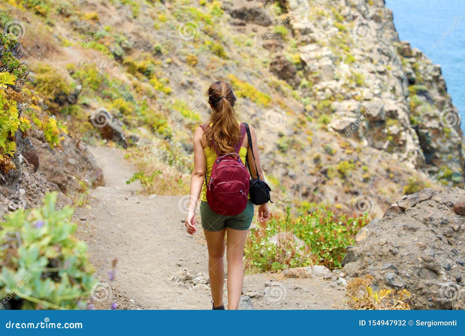 Young Hiker Woman Back View Walking on Mountain Path Stock Photo ...