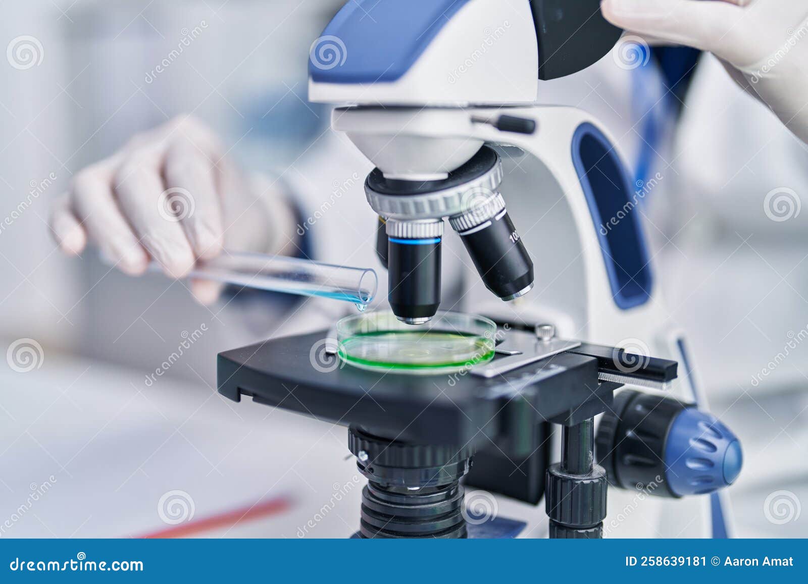 Young Hispanic Man Scientist Using Microscope at Laboratory Stock Image ...