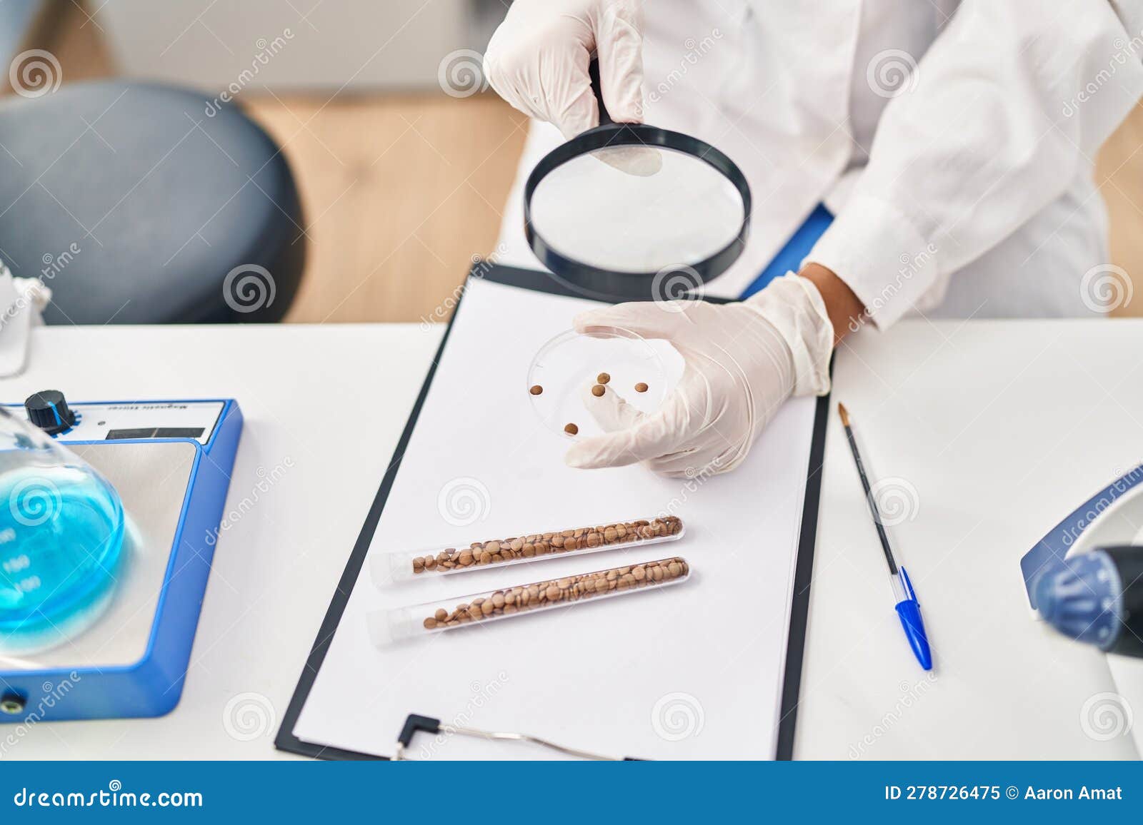 Young Hispanic Woman Scientist Looking Sample Using Loupe at Laboratory ...
