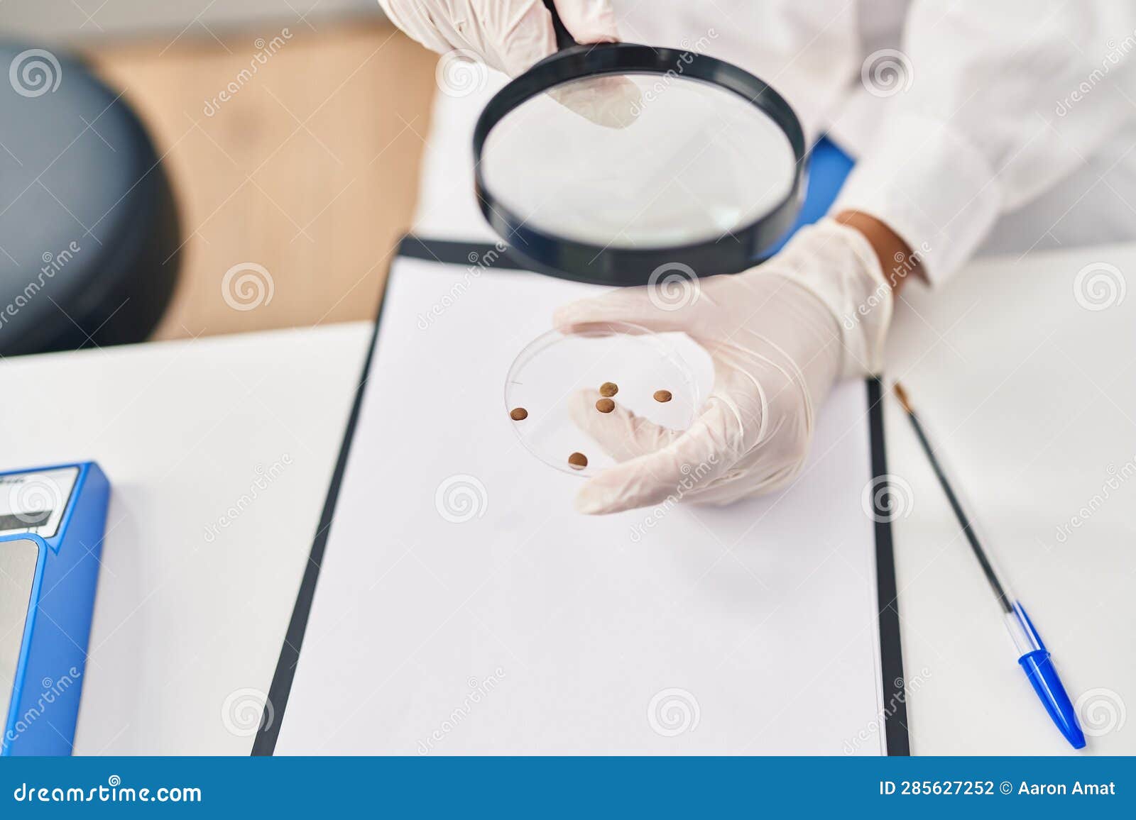 Young Hispanic Woman Scientist Looking Sample Using Loupe at Laboratory ...