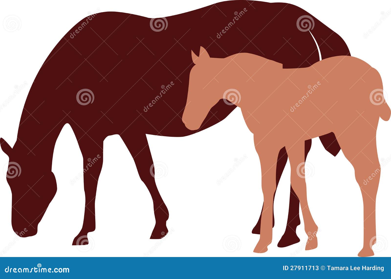 Mare and Colt or Filly Illustration Stock Illustration - Illustration ...