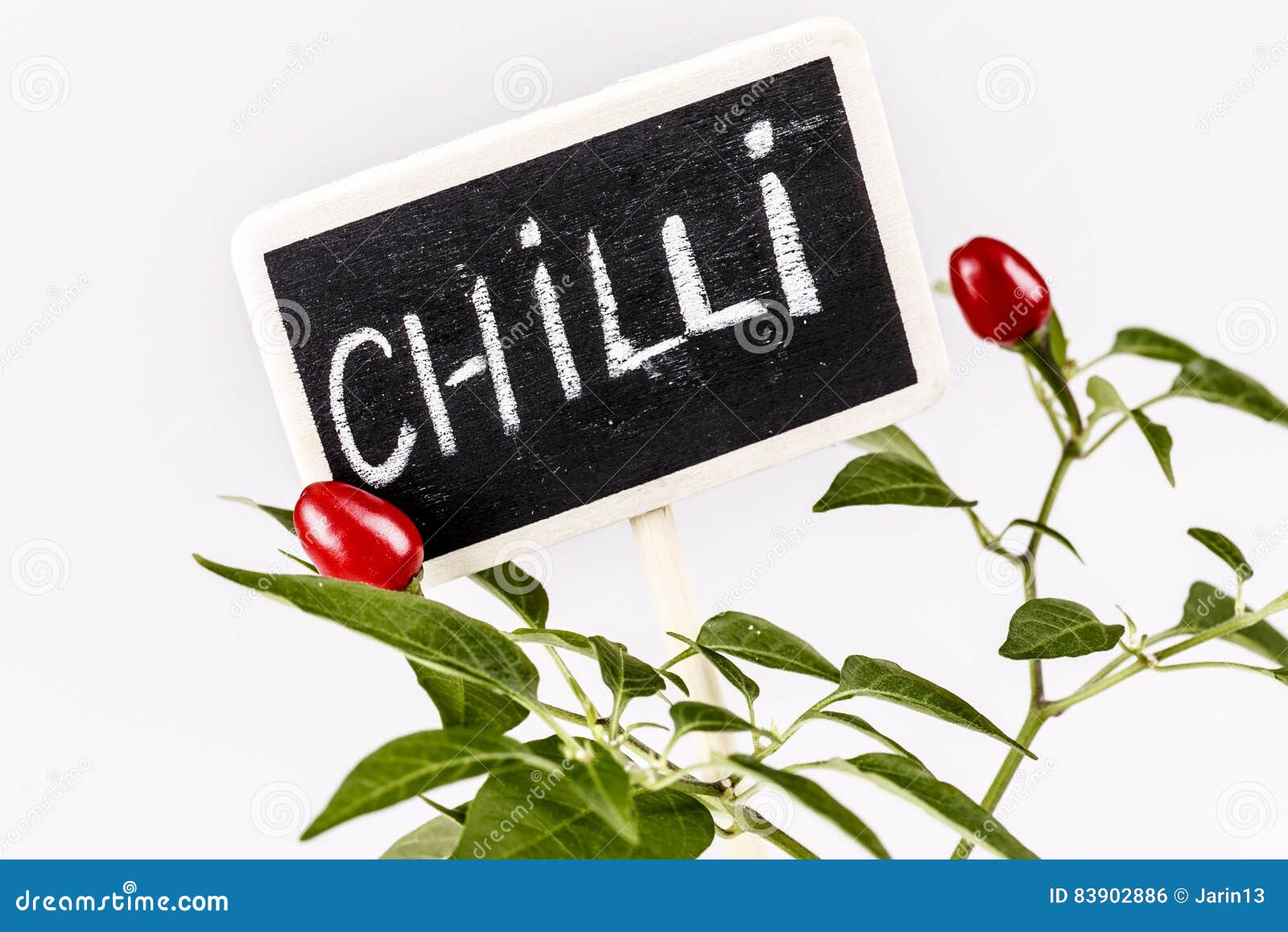 Young Hot Pepper or Chilli with Sign and Text CHILLI Stock Photo ...