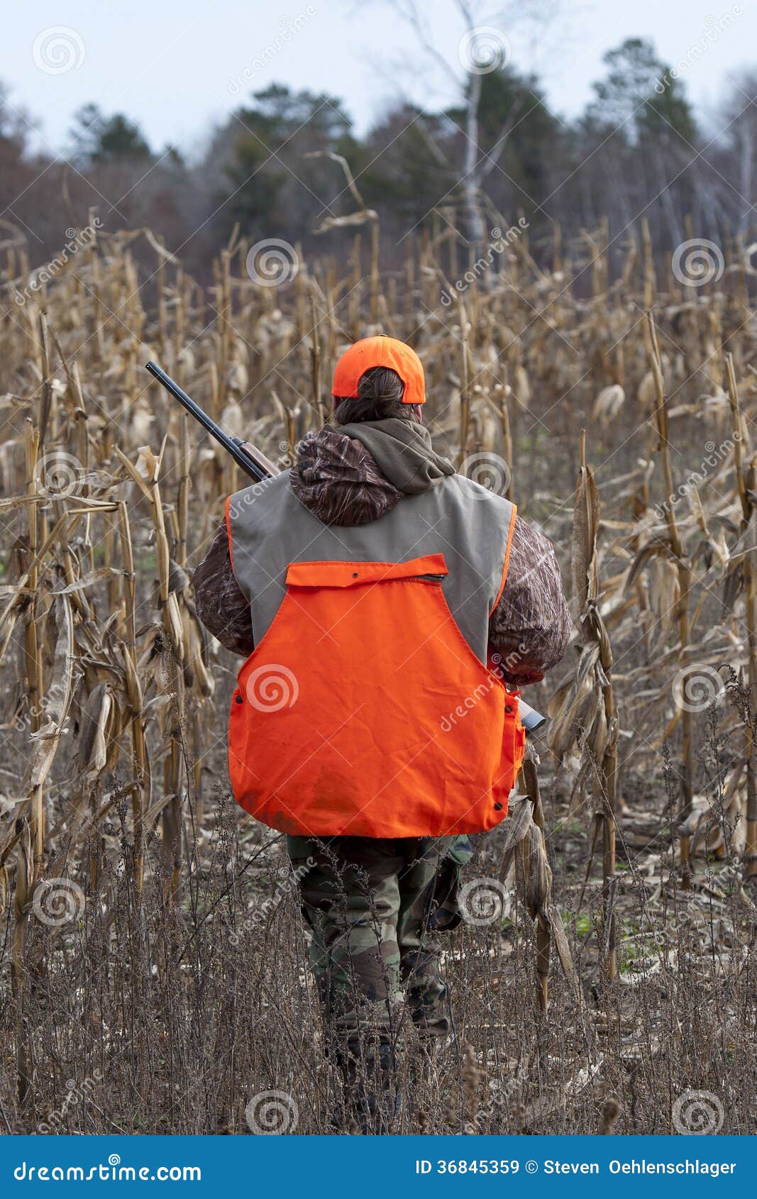Young Hunter stock image. Image of pheasant, shooting - 36845359