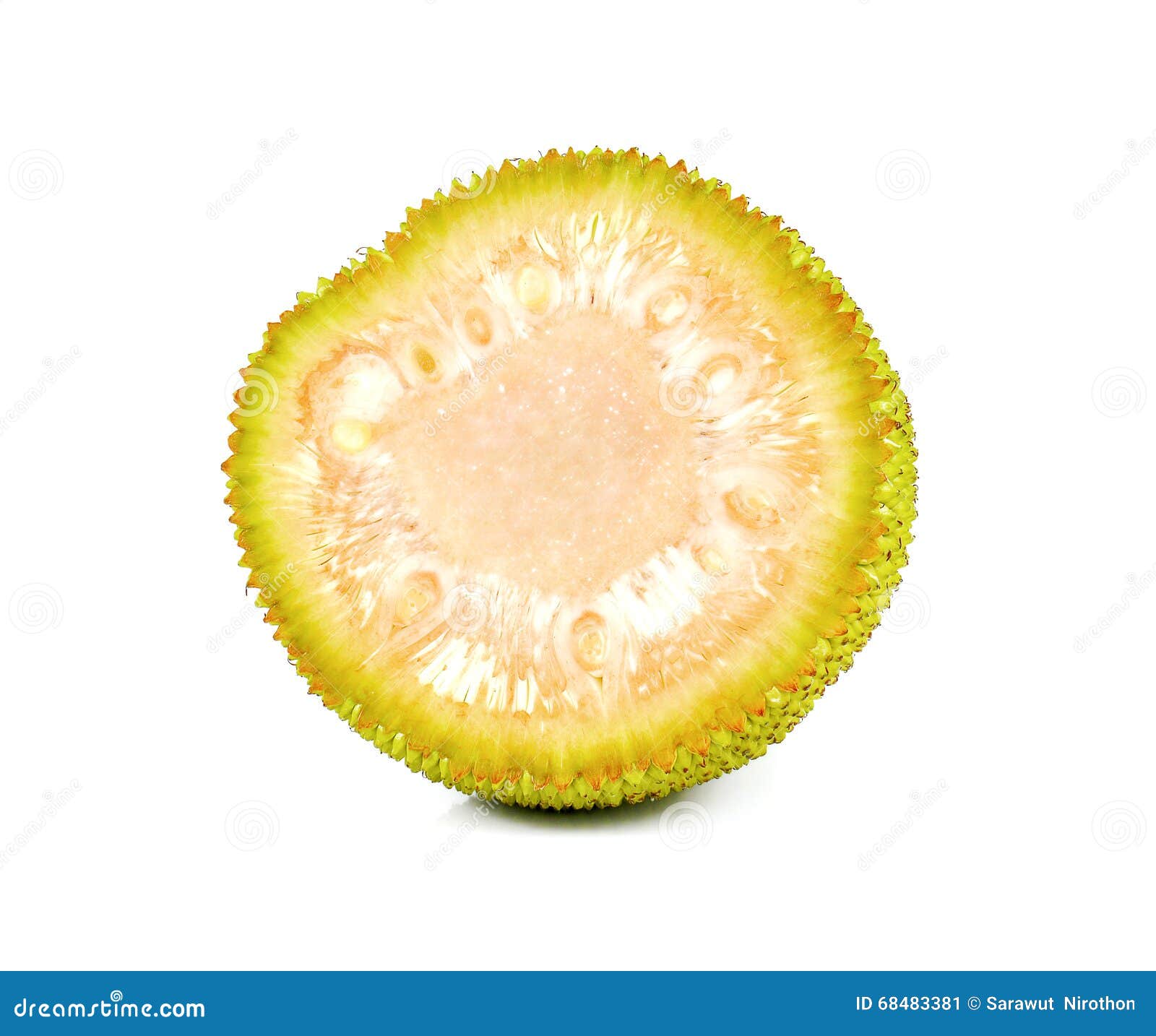 Young Jackfruit Cut Half on White Background. Stock Image - Image of ...