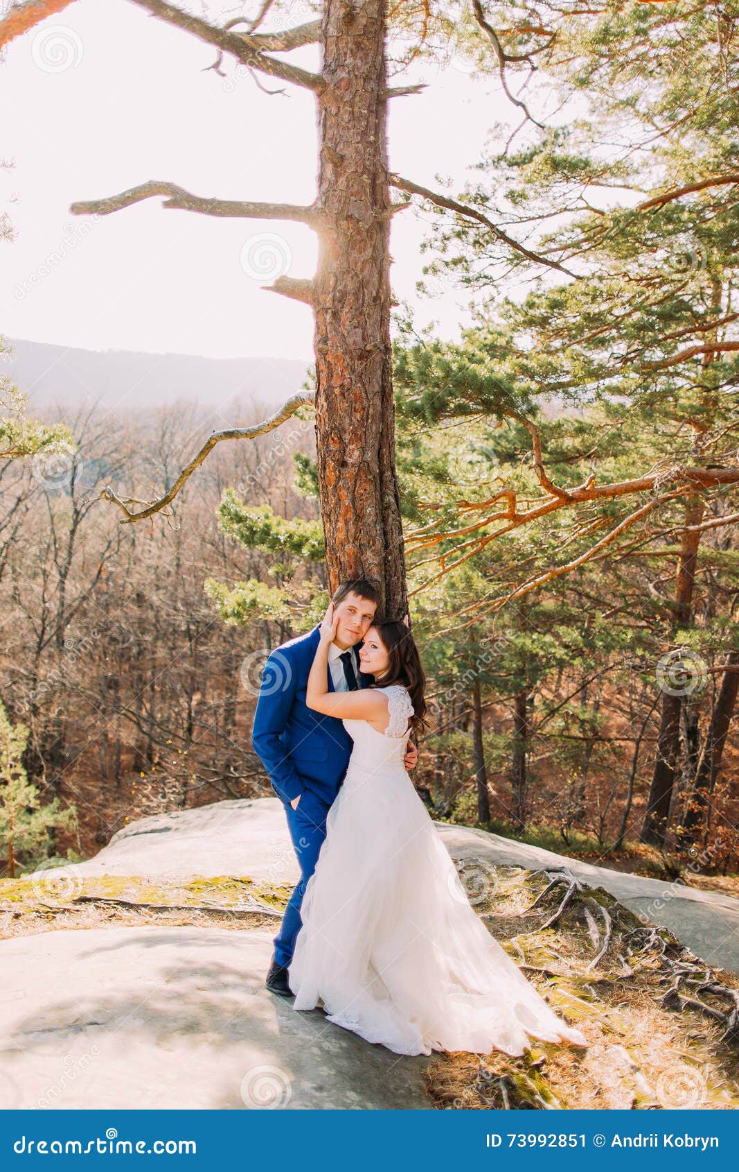 Young Just Married Couple Posing Under Pine Tree. Marvelous Mountain ...