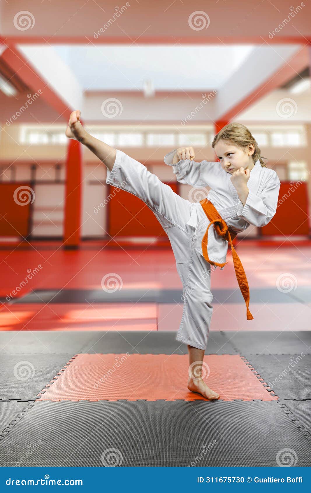 Young Karate Girl Practicing High Kick in Dojo Stock Photo - Image of arts, indoor: 311675730