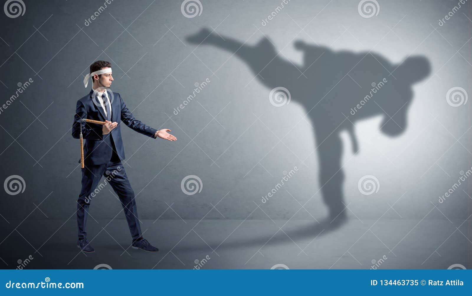 Karate Man Confronting with His Own Shadow Stock Image - Image of ...