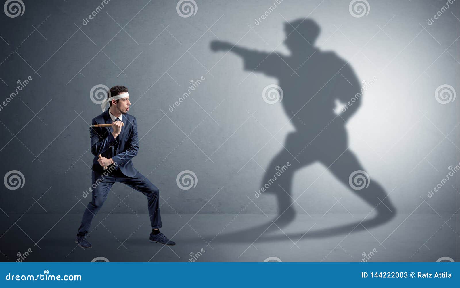 Karate Man Confronting with His Own Shadow Stock Image - Image of fight ...