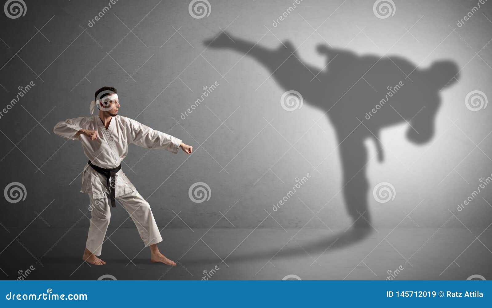 Karate Man Confronting with His Own Shadow Stock Image - Image of kick ...