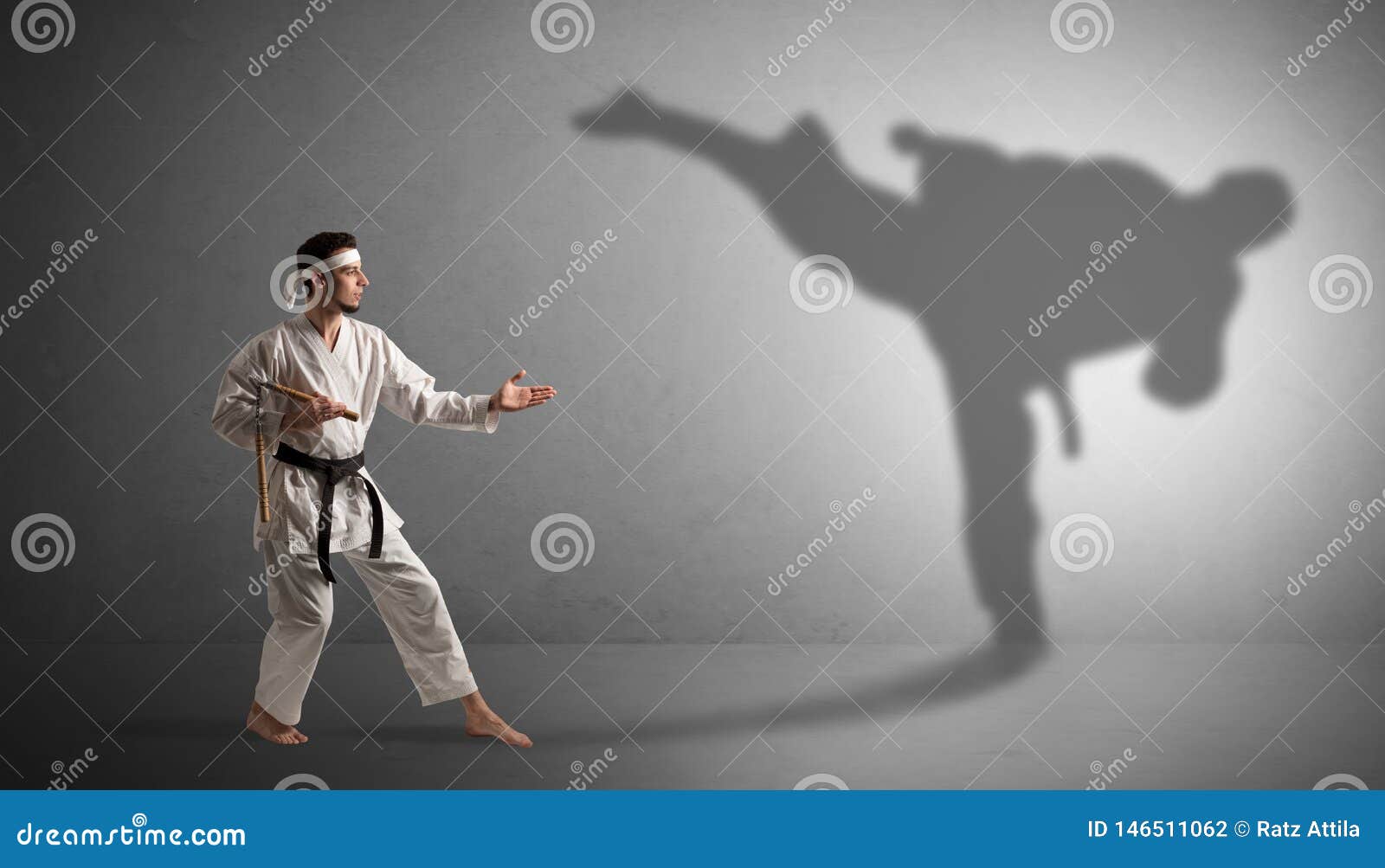 Karate Man Confronting with His Own Shadow Stock Photo - Image of ...
